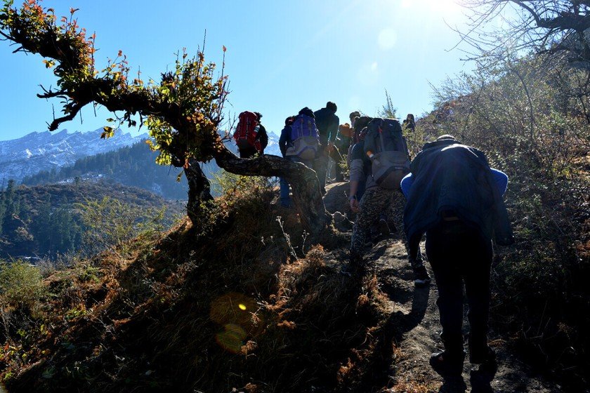 Kuari Pass Trek: Explore the Oldest Trek in Gahrwal