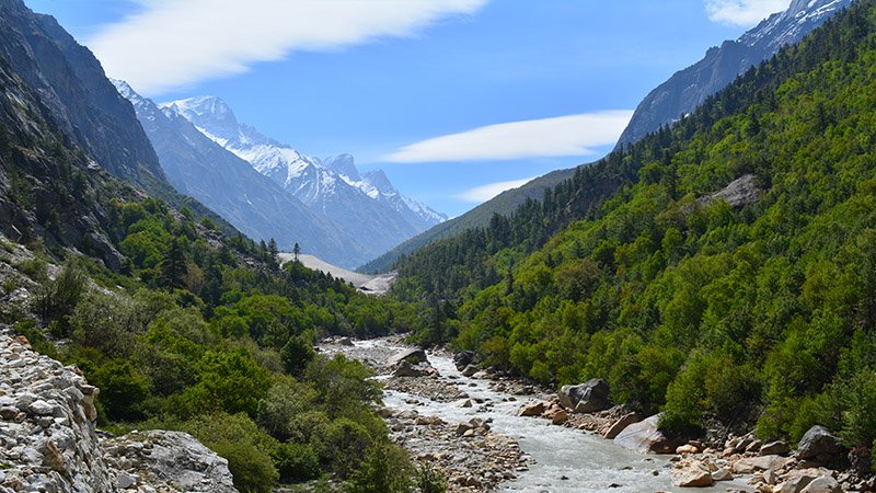 Gaumukh Trek | Flat 17% Off | thesearchingsouls